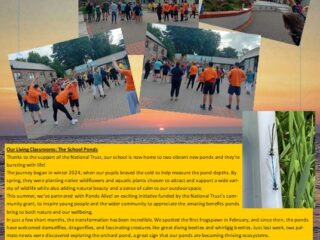 Contact us - The Libra School